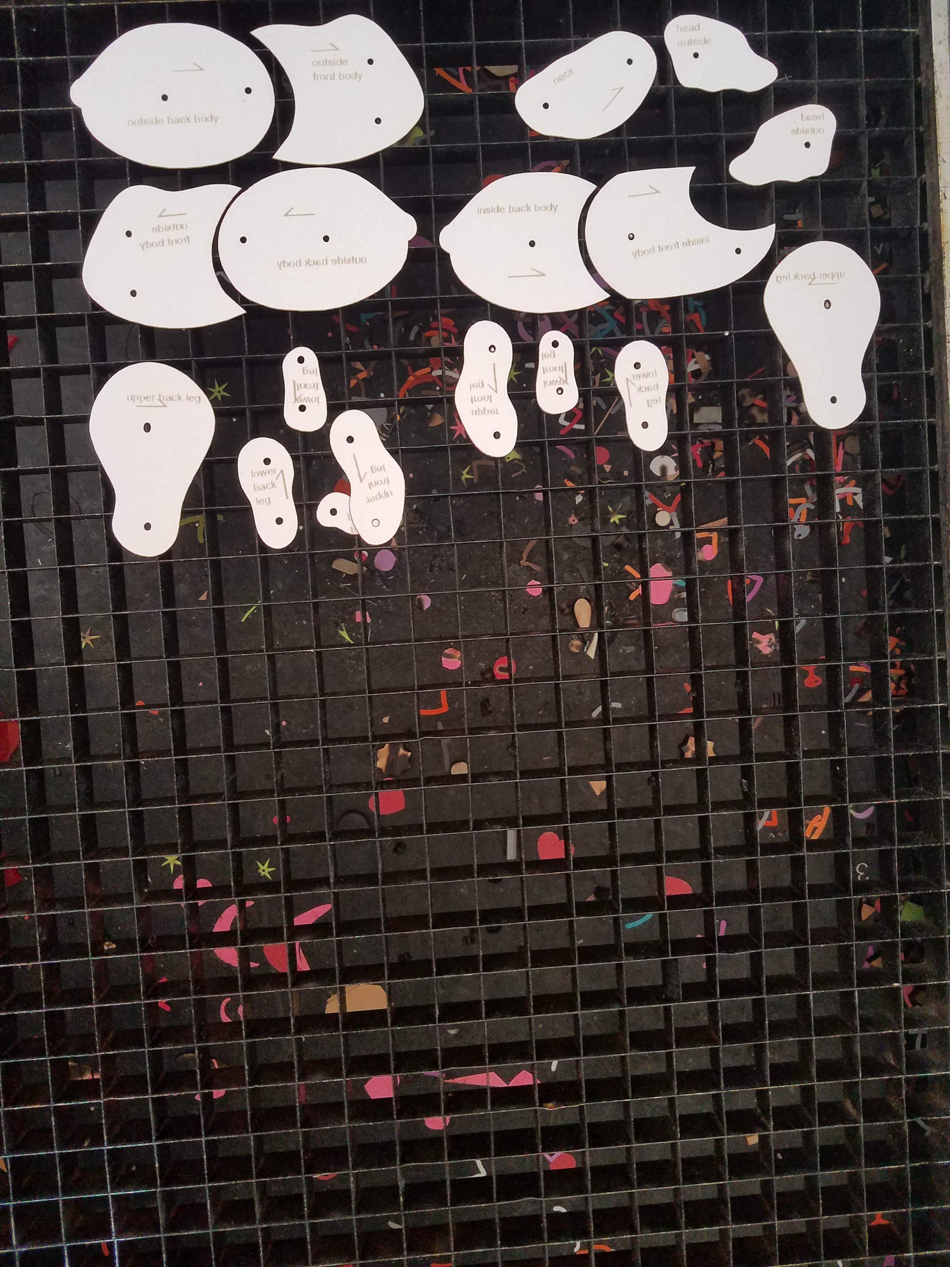 bear anatomy – Lee Thomson