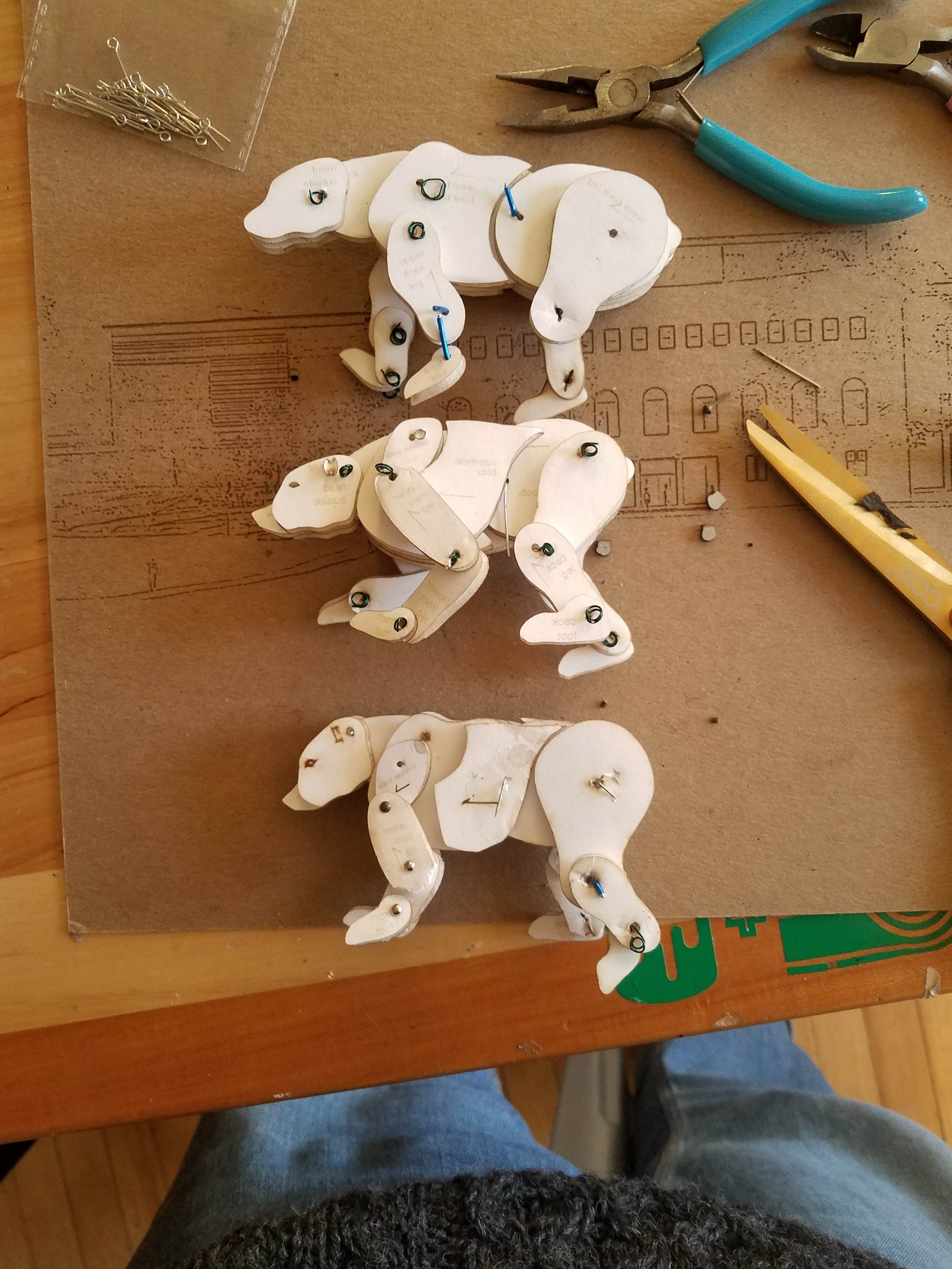 bear anatomy – Lee Thomson